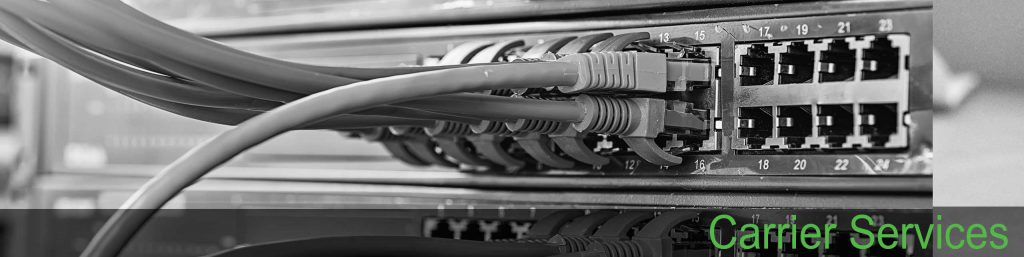 Carrier Services | Digicorp, Inc.