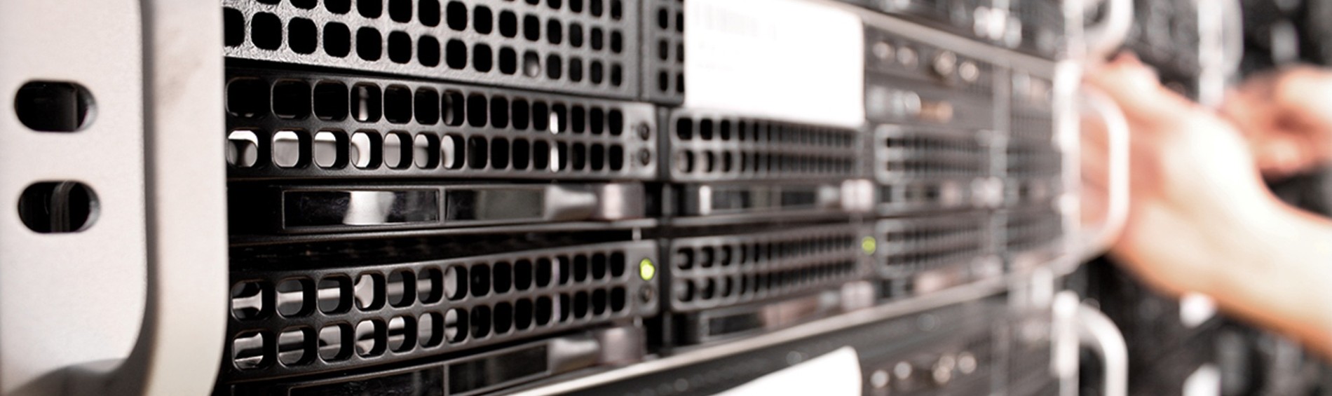 Services | Digicorp, Inc.